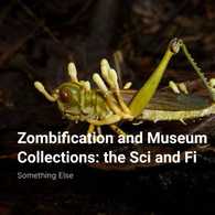 Zombification and Museum Collections: the Sci and Fi | Eastside Radio ...