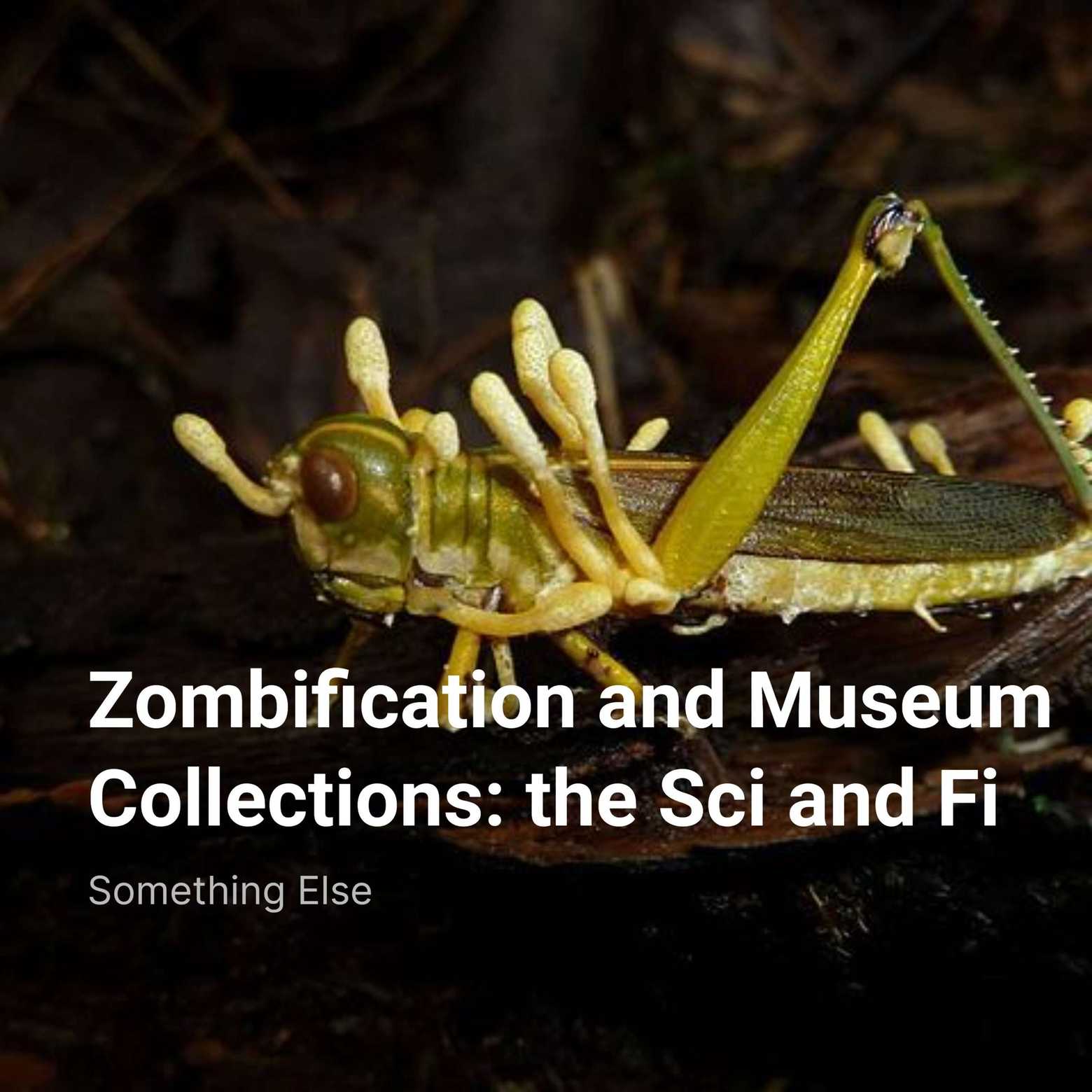 Zombification and Museum Collections: the Sci and Fi | Eastside Radio ...