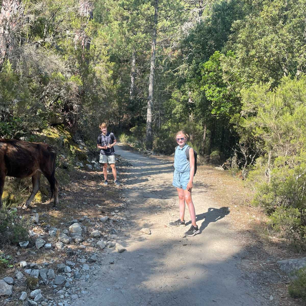 Australian Native Bees | Eastside Radio 89.7FM